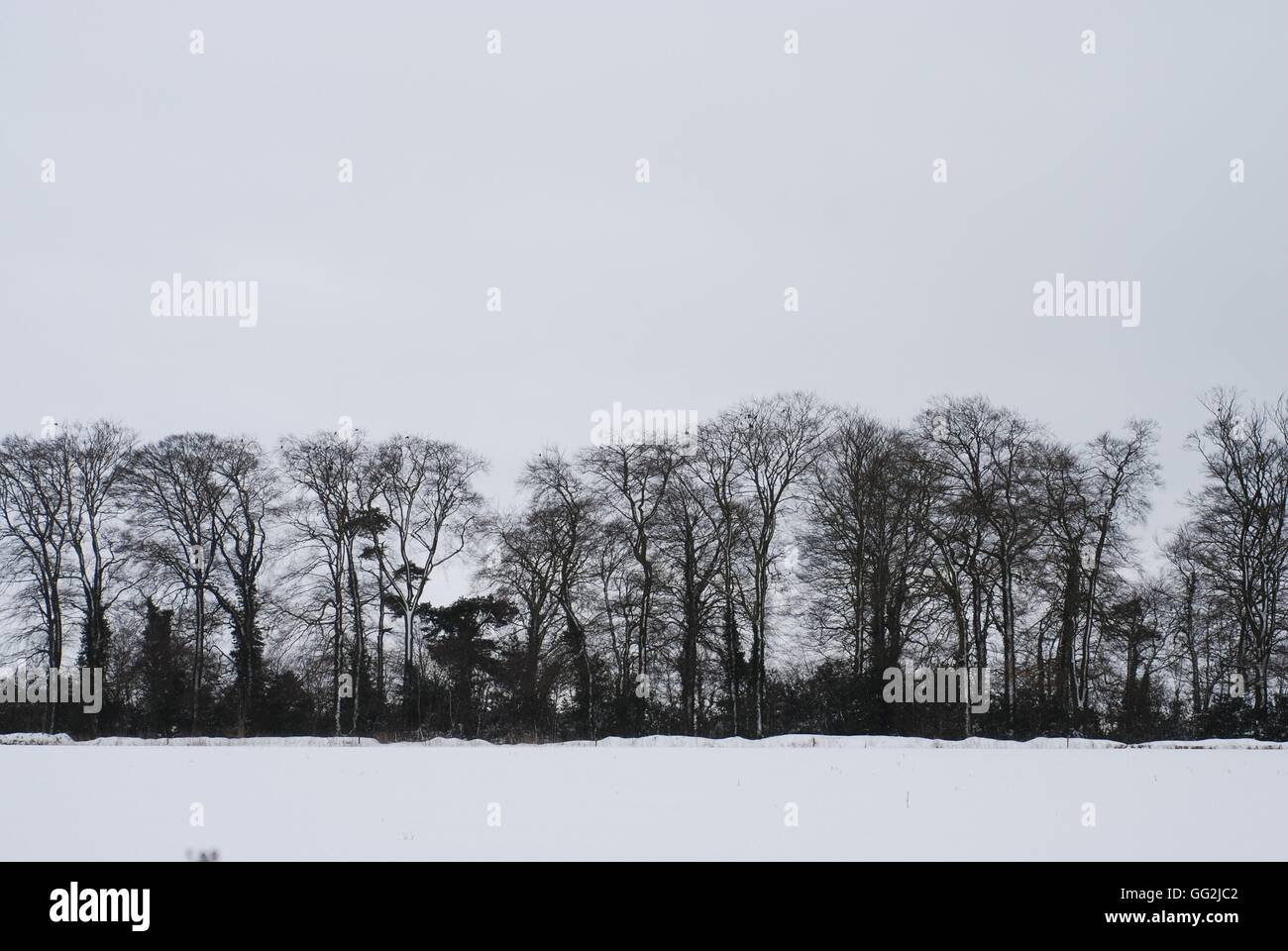 Snowy landscape, Great Britain Stock Photo - Alamy