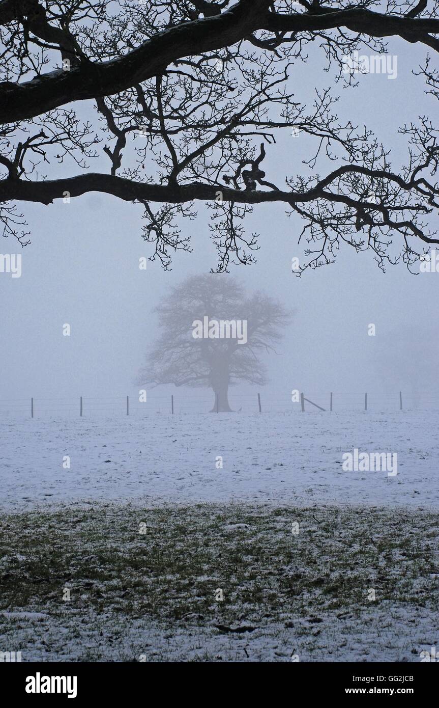 Snowy landscape, Great Britain Stock Photo - Alamy