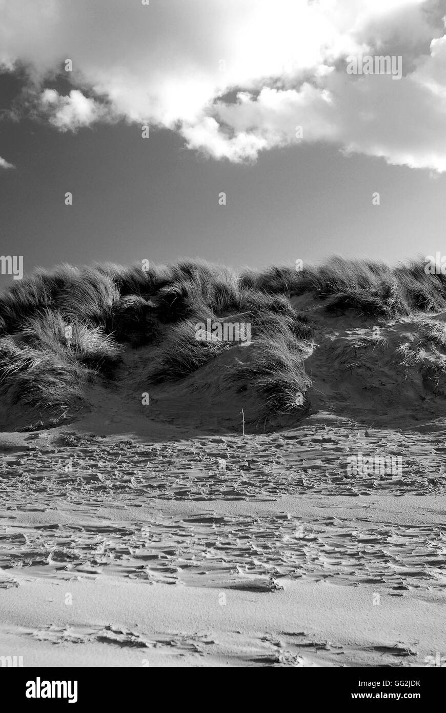 Holme Dunes national nature reserve in Norfolk, Great Britain Stock ...