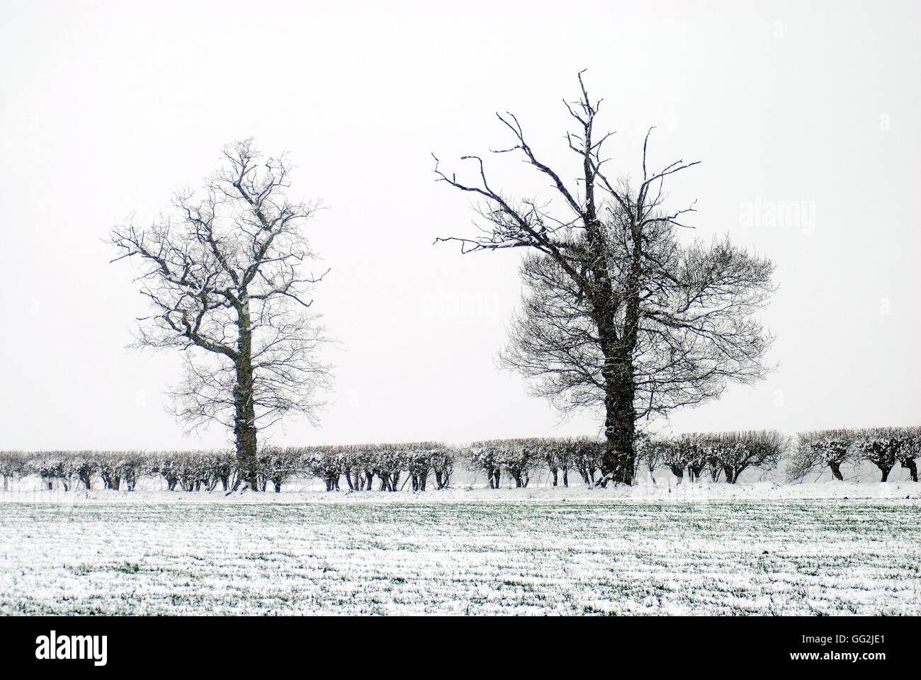 Snowy landscape, Great Britain Stock Photo - Alamy