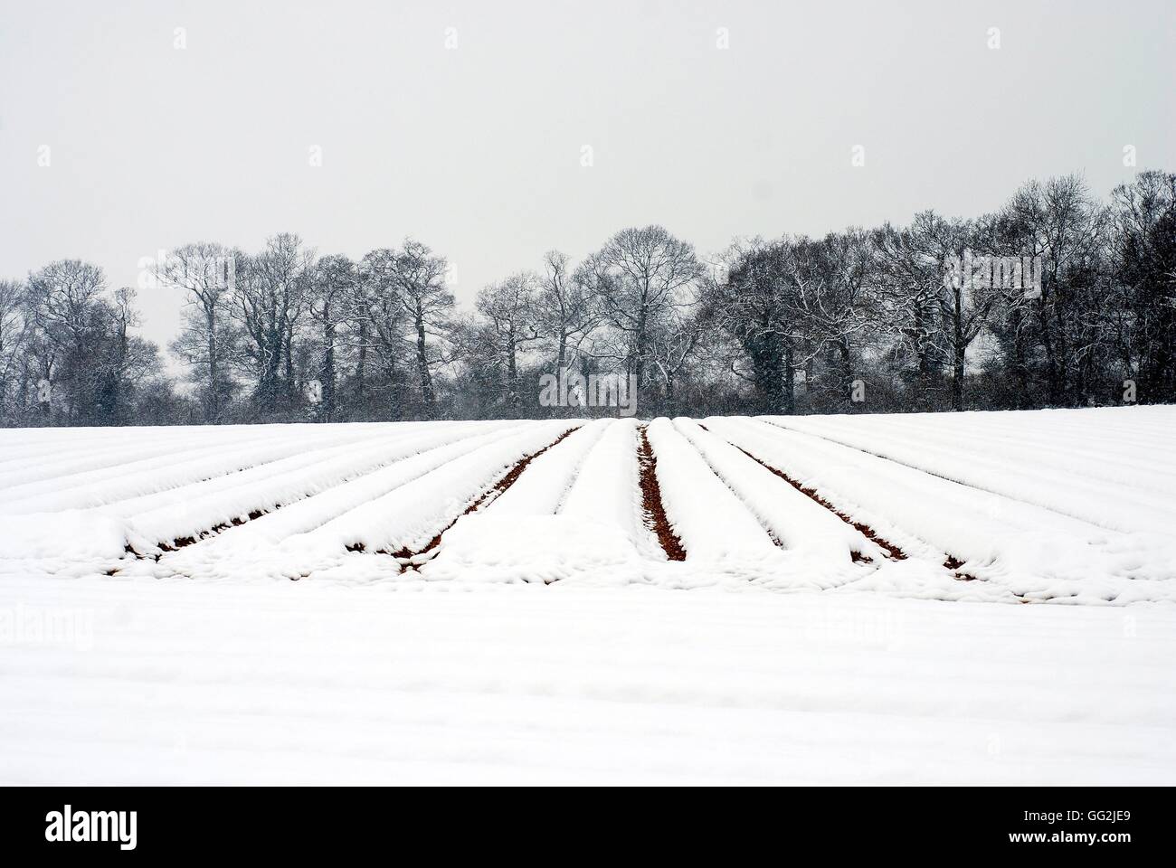 Snowy landscape, Great Britain Stock Photo - Alamy