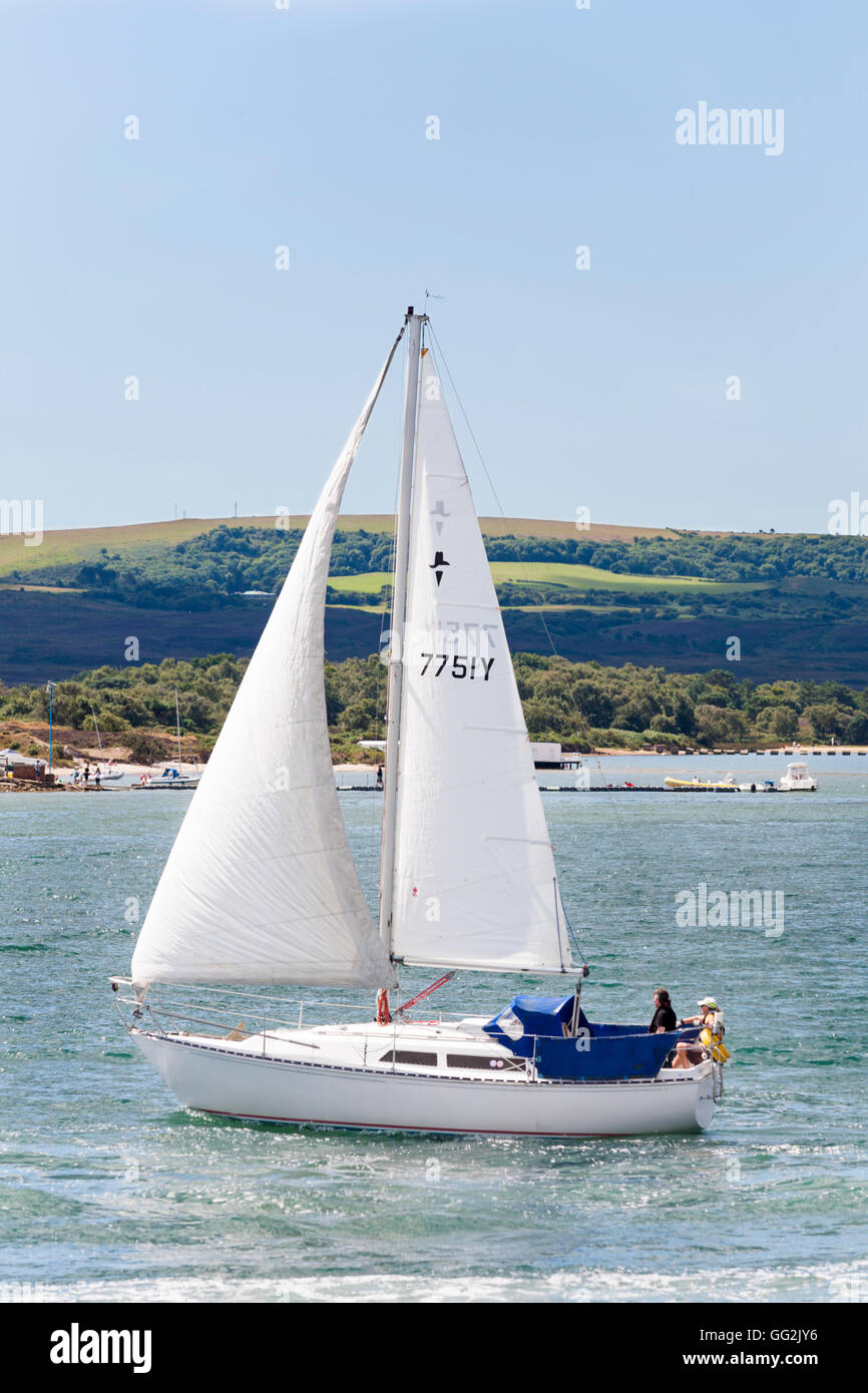 Sailing yacht in poole harbour hi-res stock photography and images - Alamy