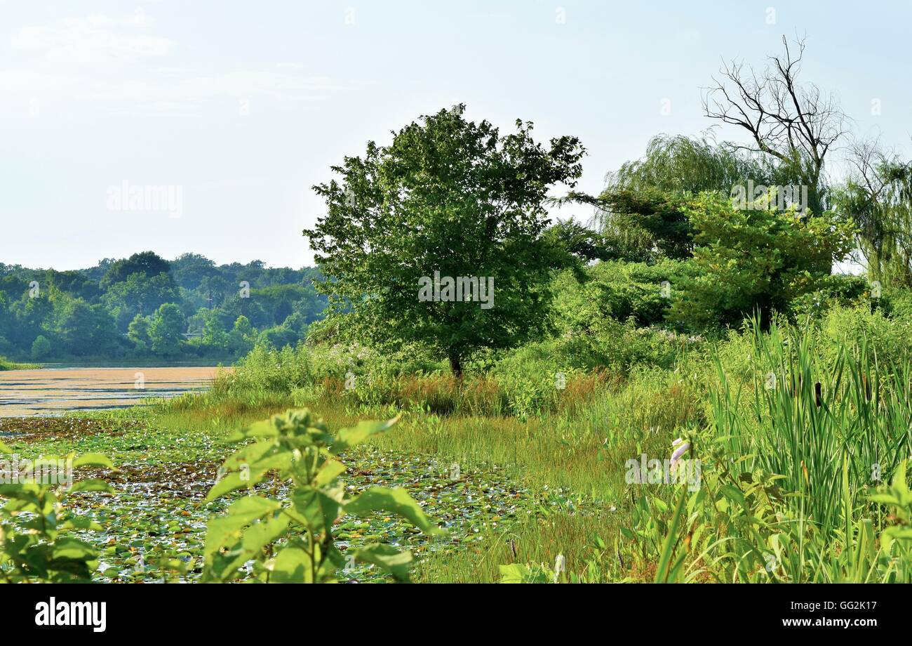 Pond lake river hi-res stock photography and images - Alamy