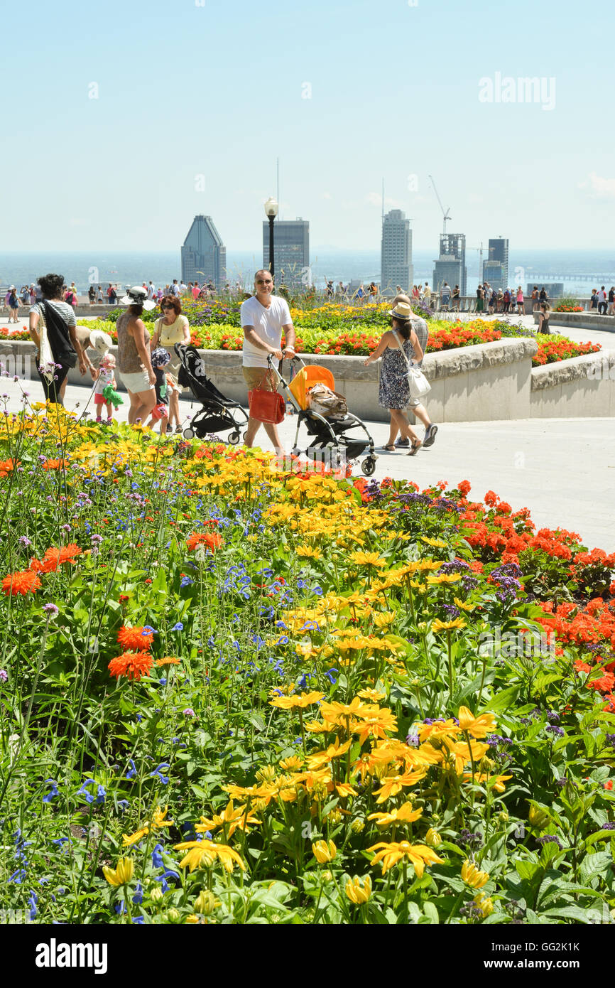 Mont Royal High Resolution Stock Photography and Images - Alamy