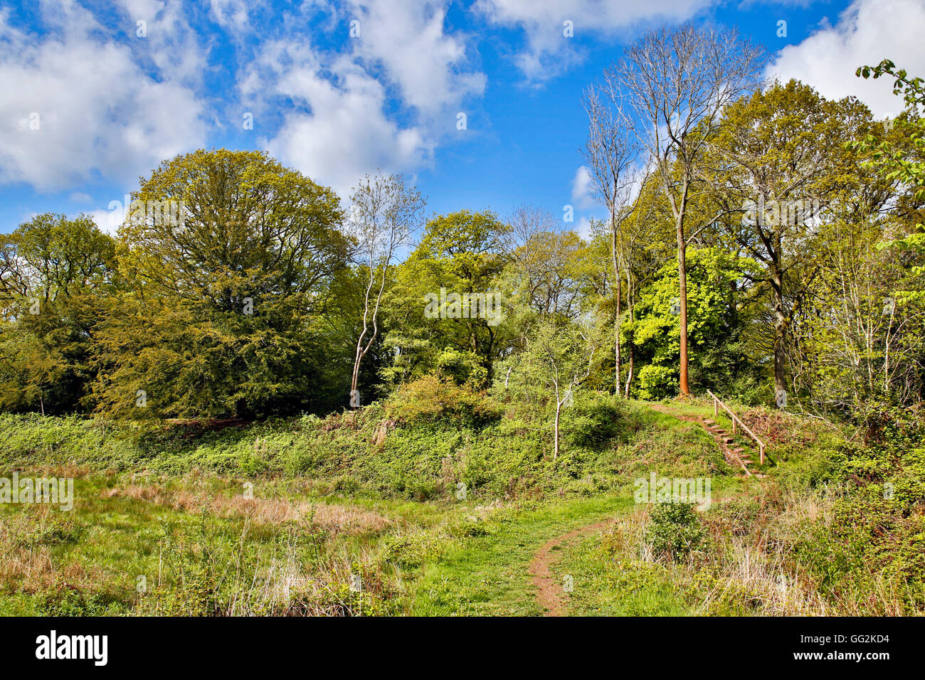 Credenhill hi-res stock photography and images - Alamy