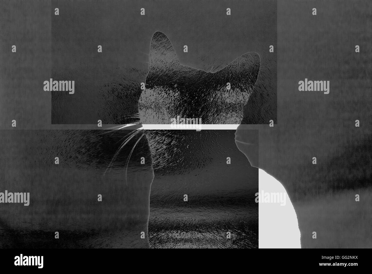 Layers of glass hi-res stock photography and images - Alamy