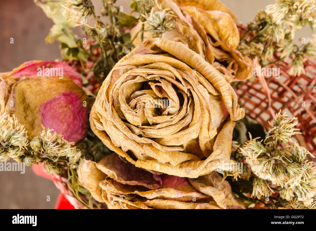 Dried rose bouquet hi-res stock photography and images - Alamy