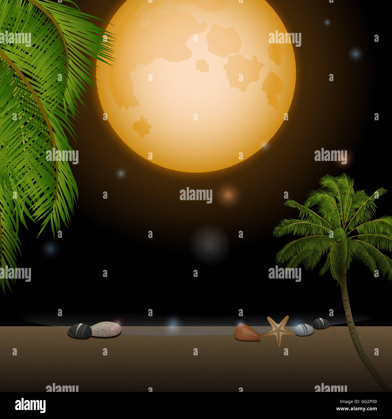 Tropical Beach Under Moonlight with Palm Trees Moon and Stars Stock ...