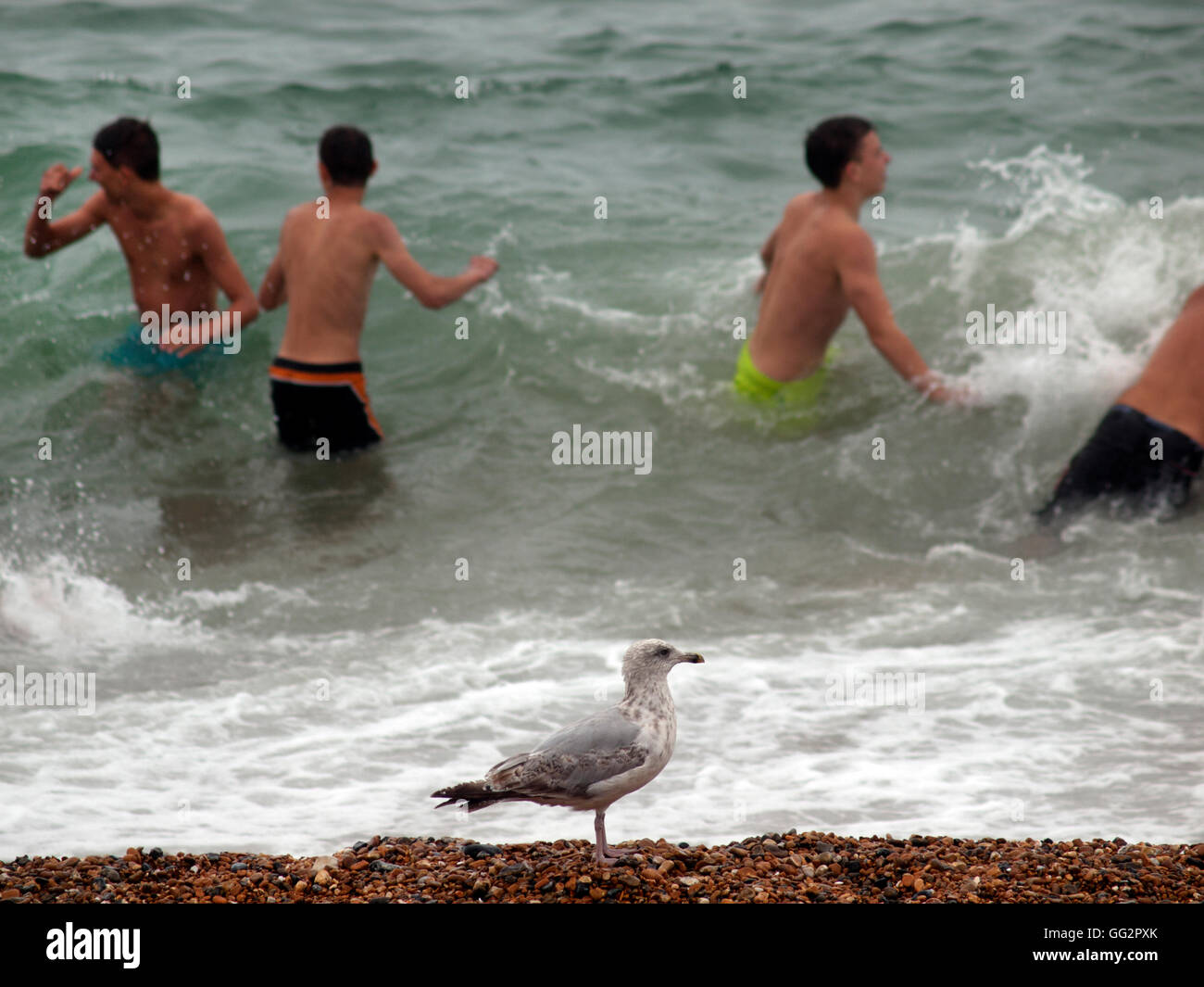 People play in sea hi-res stock photography and images - Alamy