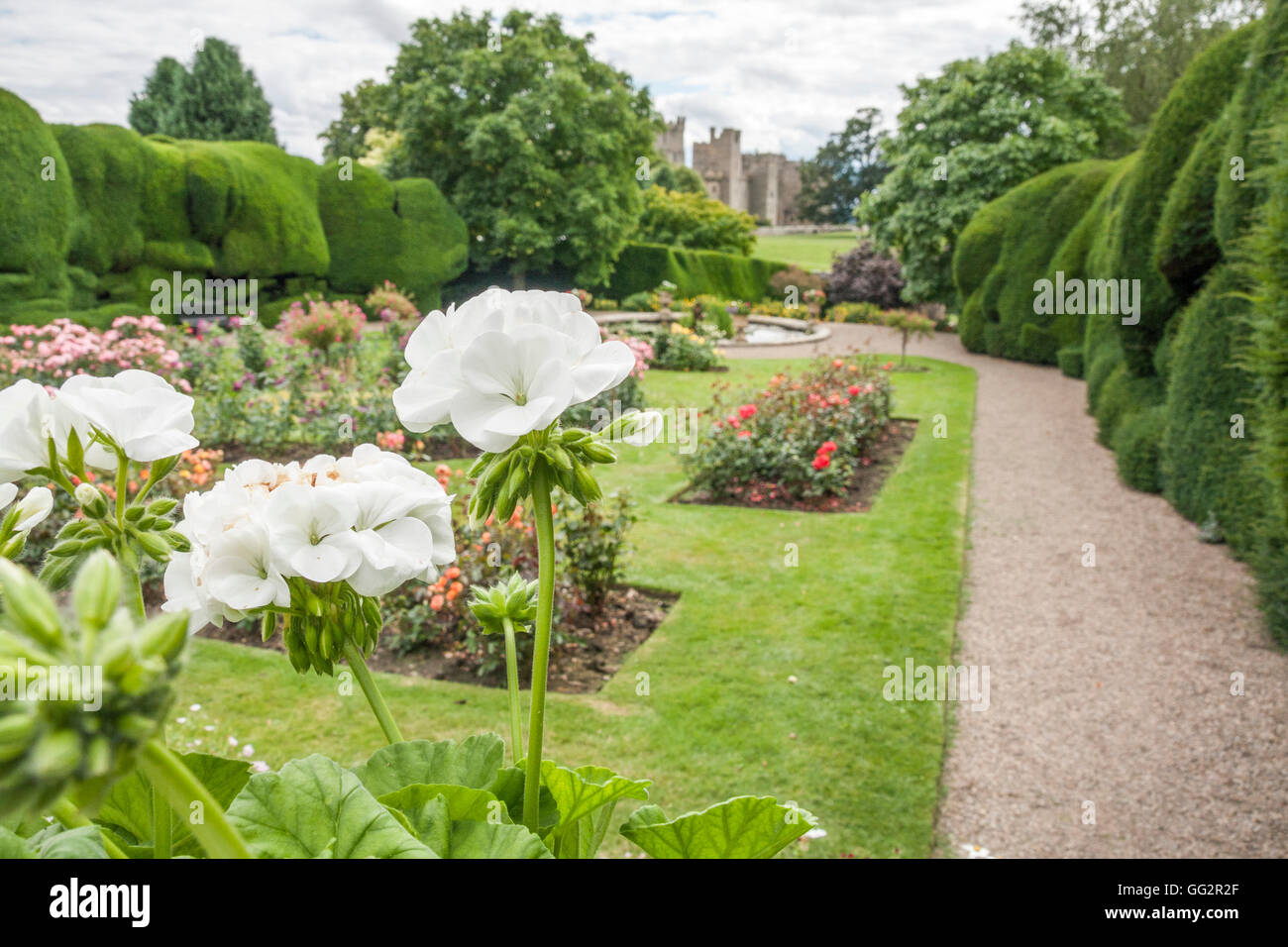 A scenic view of the beautiful gardens at Raby Castle,Staindrop,Co ...