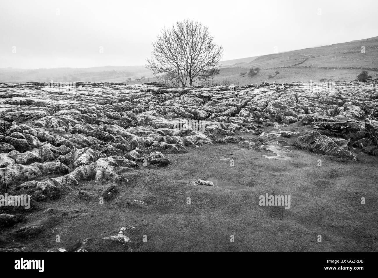 Acid rain limestone Black and White Stock Photos & Images - Alamy