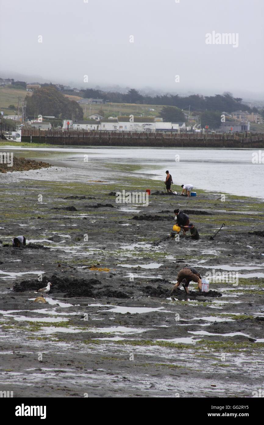 Hunting beach california hi-res stock photography and images - Alamy
