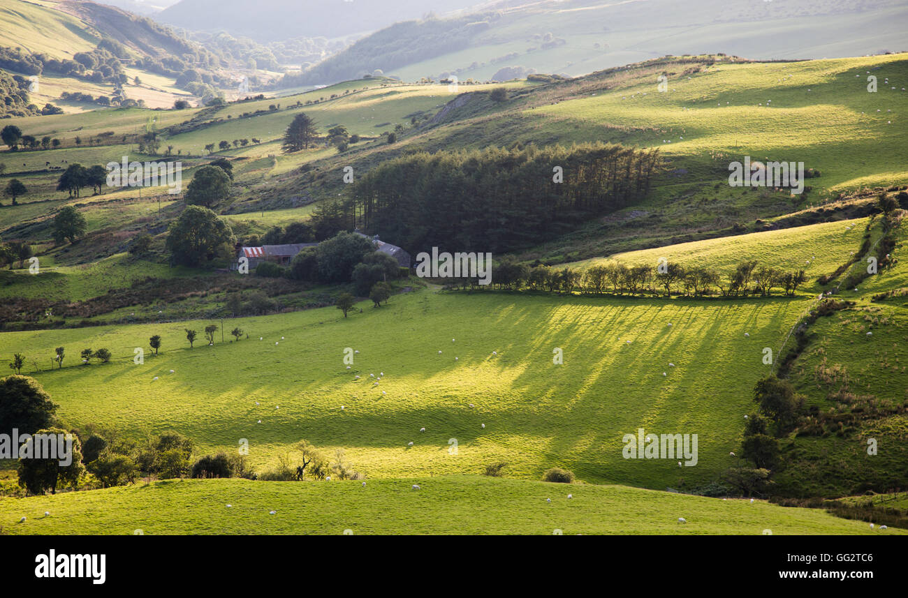 Farming agriculture mid wales landscape hi-res stock photography and ...