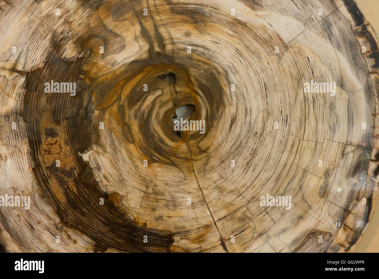 Concentric rings hi-res stock photography and images - Alamy