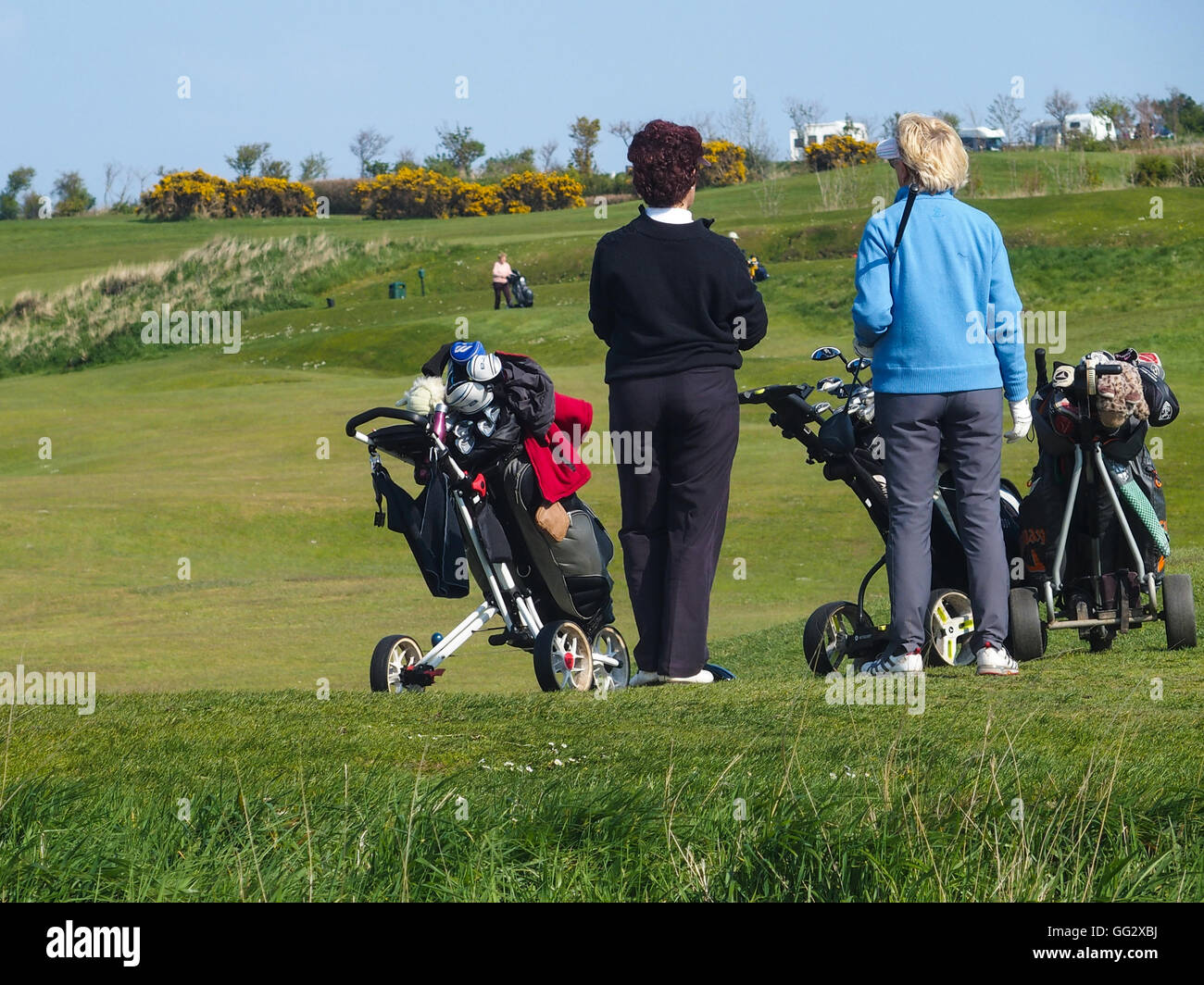 Golfers tee hi-res stock photography and images - Alamy