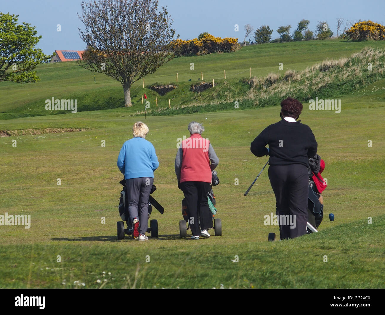 16th hole hi-res stock photography and images - Alamy