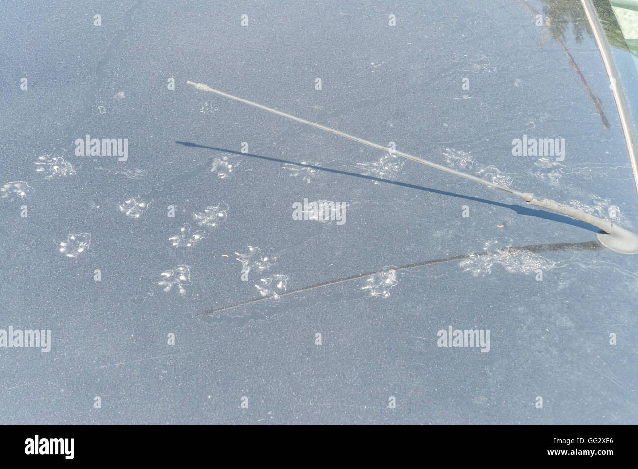 Car marks hi-res stock photography and images - Alamy