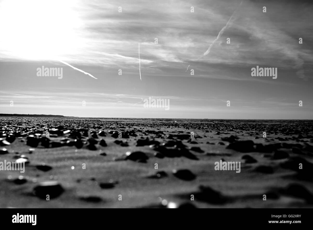 Beach, Seashore, Sea side, Strand, Seaboard, Sea, Ocean, Wild, Nature ...