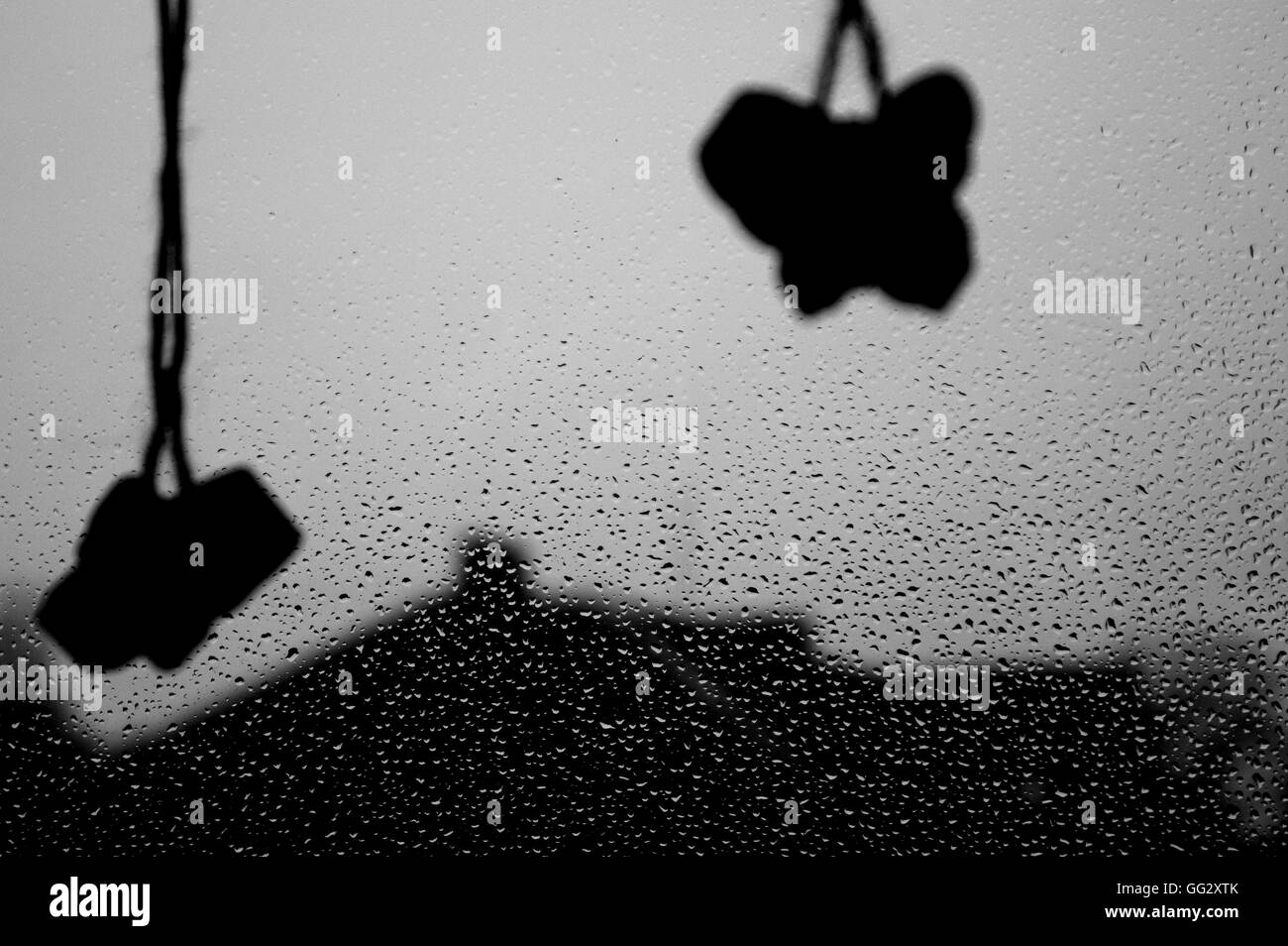 Rain drops, Rainy, Rain, Drops, Window, Mood, Moody, Rainy day Stock ...