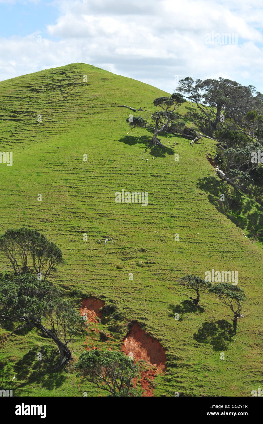 erosion NZ farmland grass paddock farming Stock Photo - Alamy