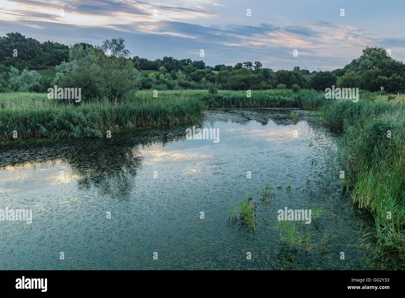 Ria de limpias hi-res stock photography and images - Alamy