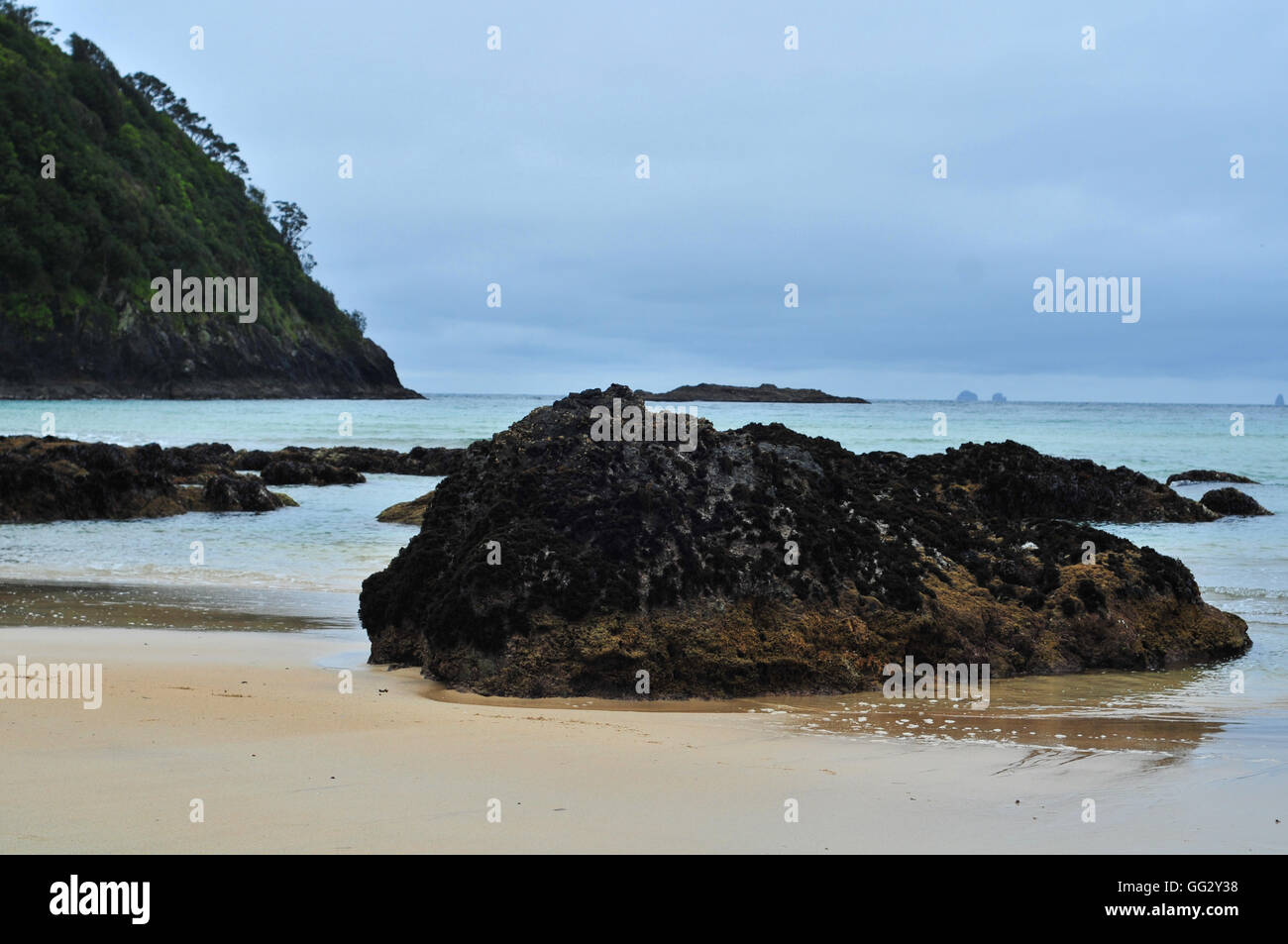 Nz coast rocky beach ocean hi-res stock photography and images - Alamy