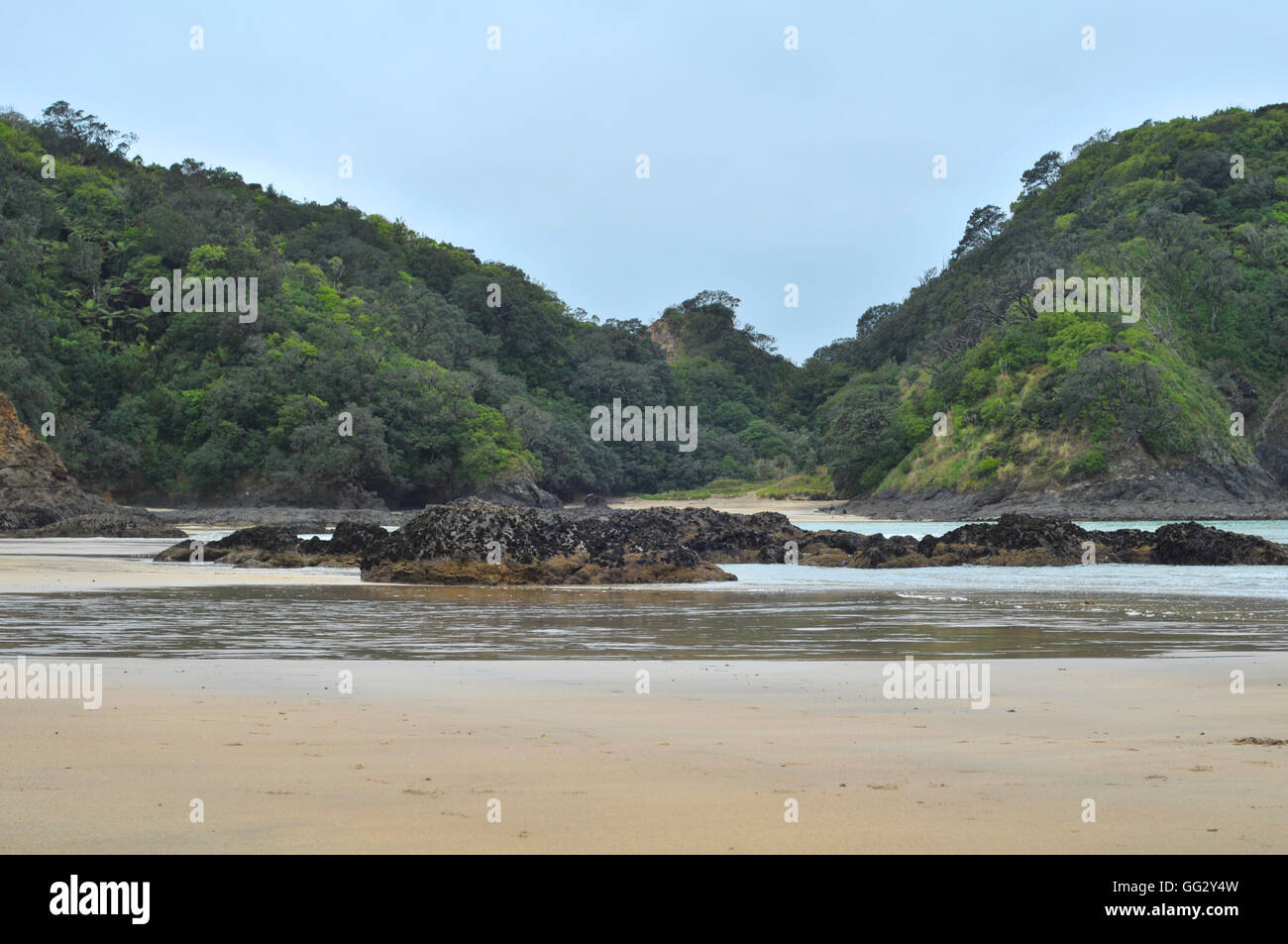 Matapouri beach hi-res stock photography and images - Alamy
