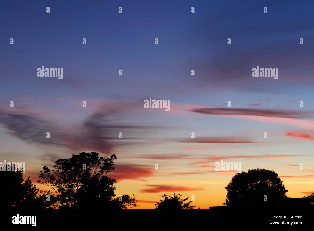 Sunset above treeline Stock Photo - Alamy