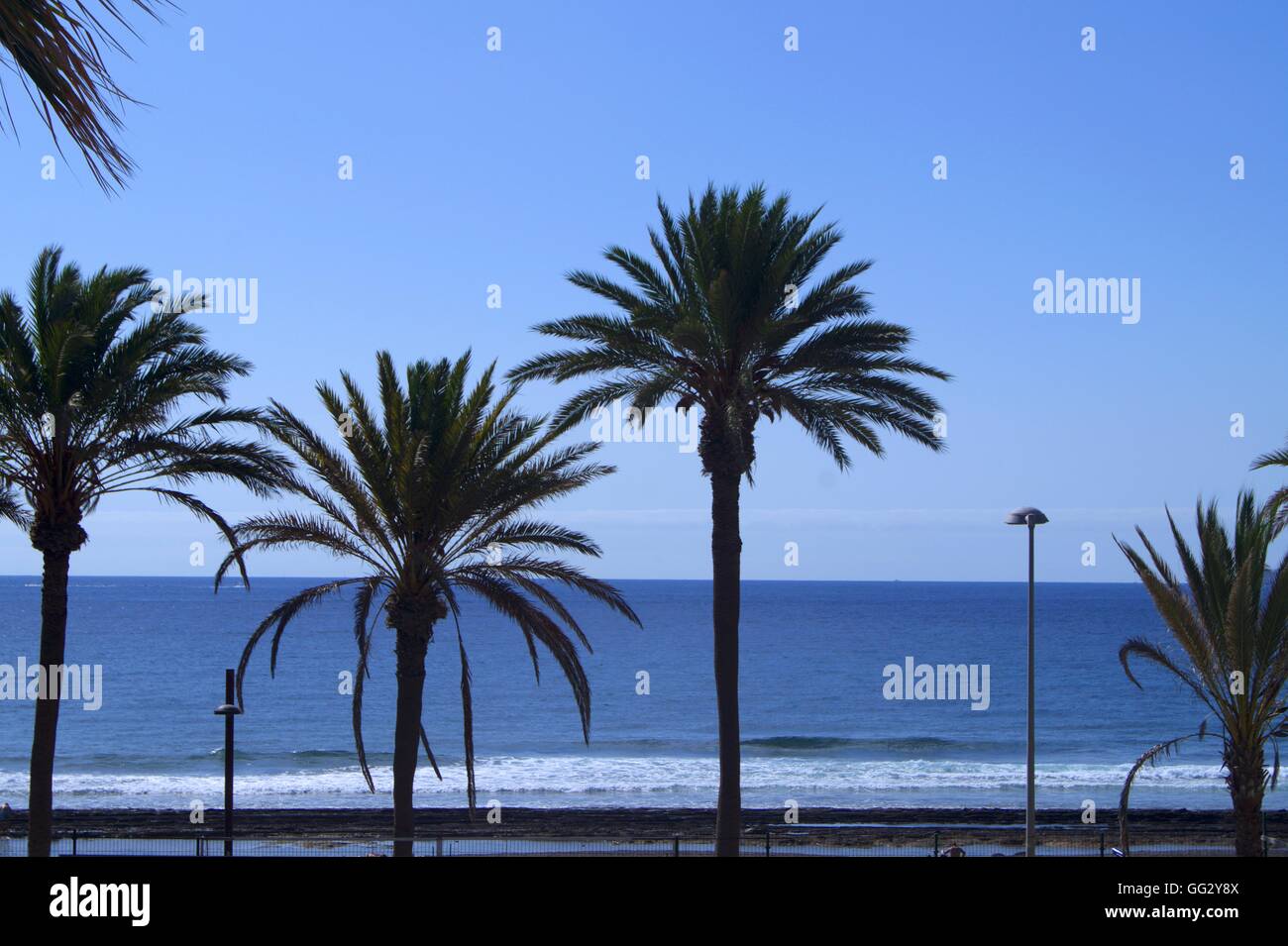 Sun sea palm trees hi-res stock photography and images - Alamy