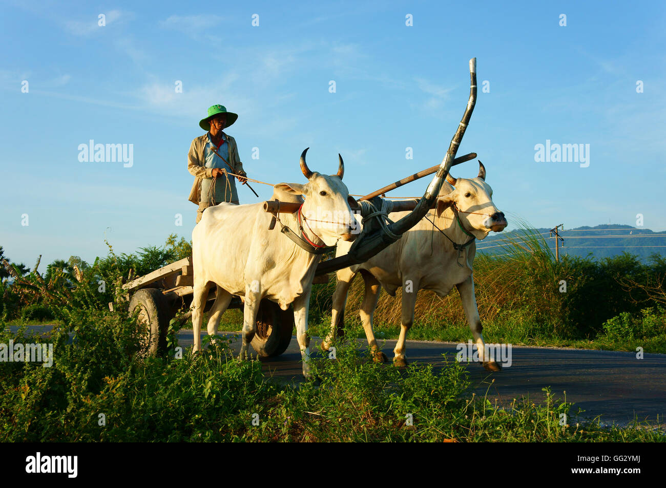 Wagon wheel landscaping hi-res stock photography and images - Alamy