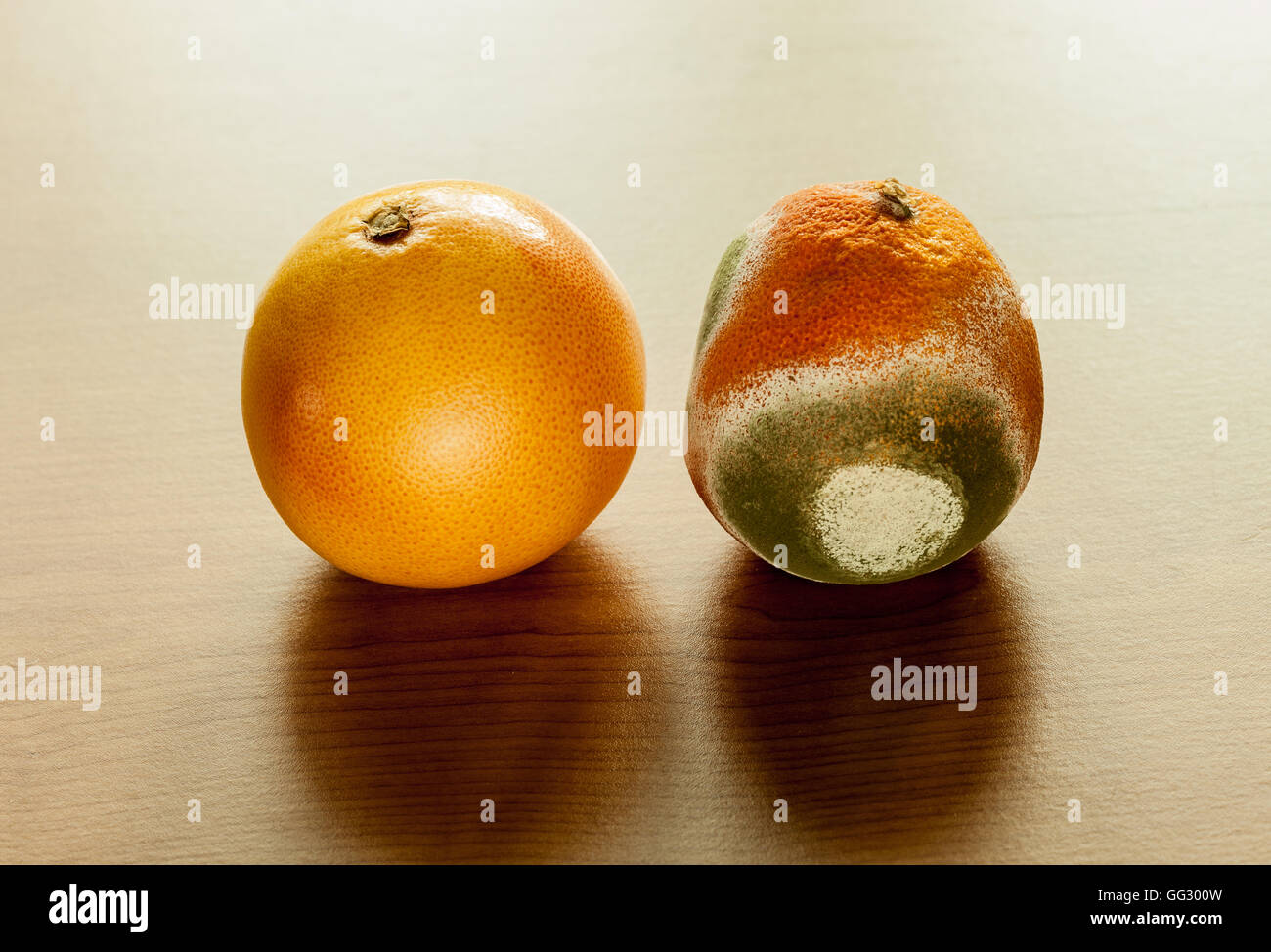 Ripe and moldy grapefriut on plate at wooden table. Difference between ...