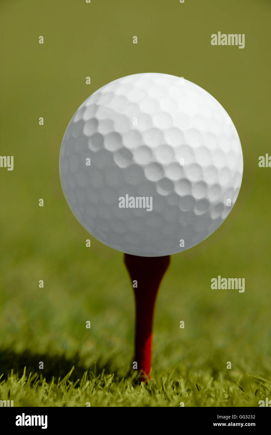 Golf ball on tee Stock Photo - Alamy