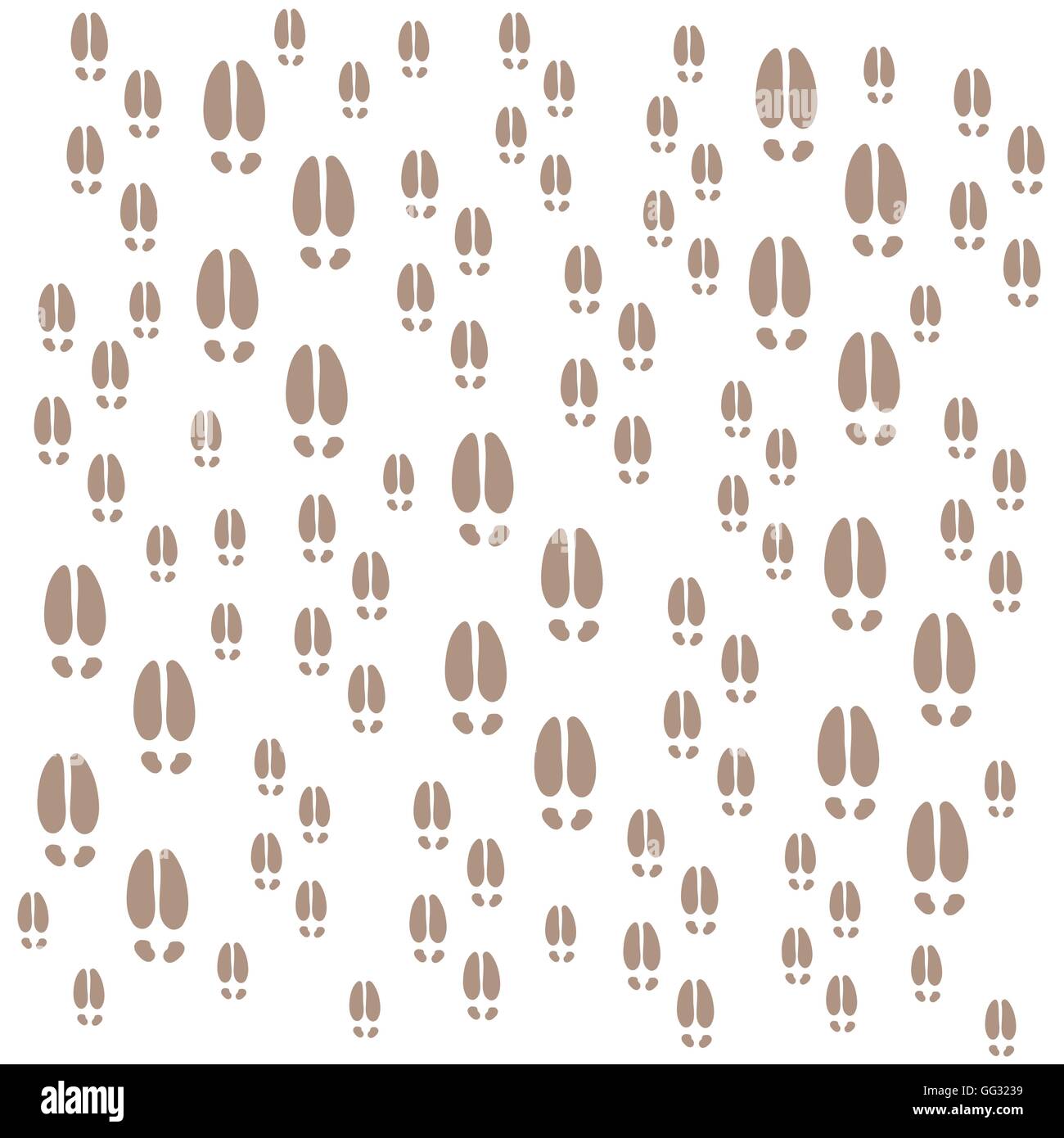 Nice picture of wild animal traces on a white background Stock Vector ...