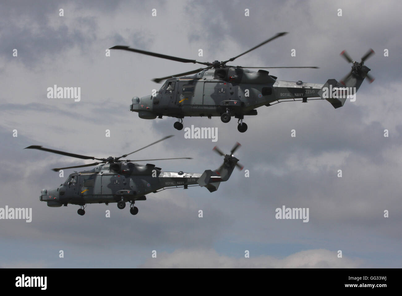 Lynx wildcat hi-res stock photography and images - Alamy