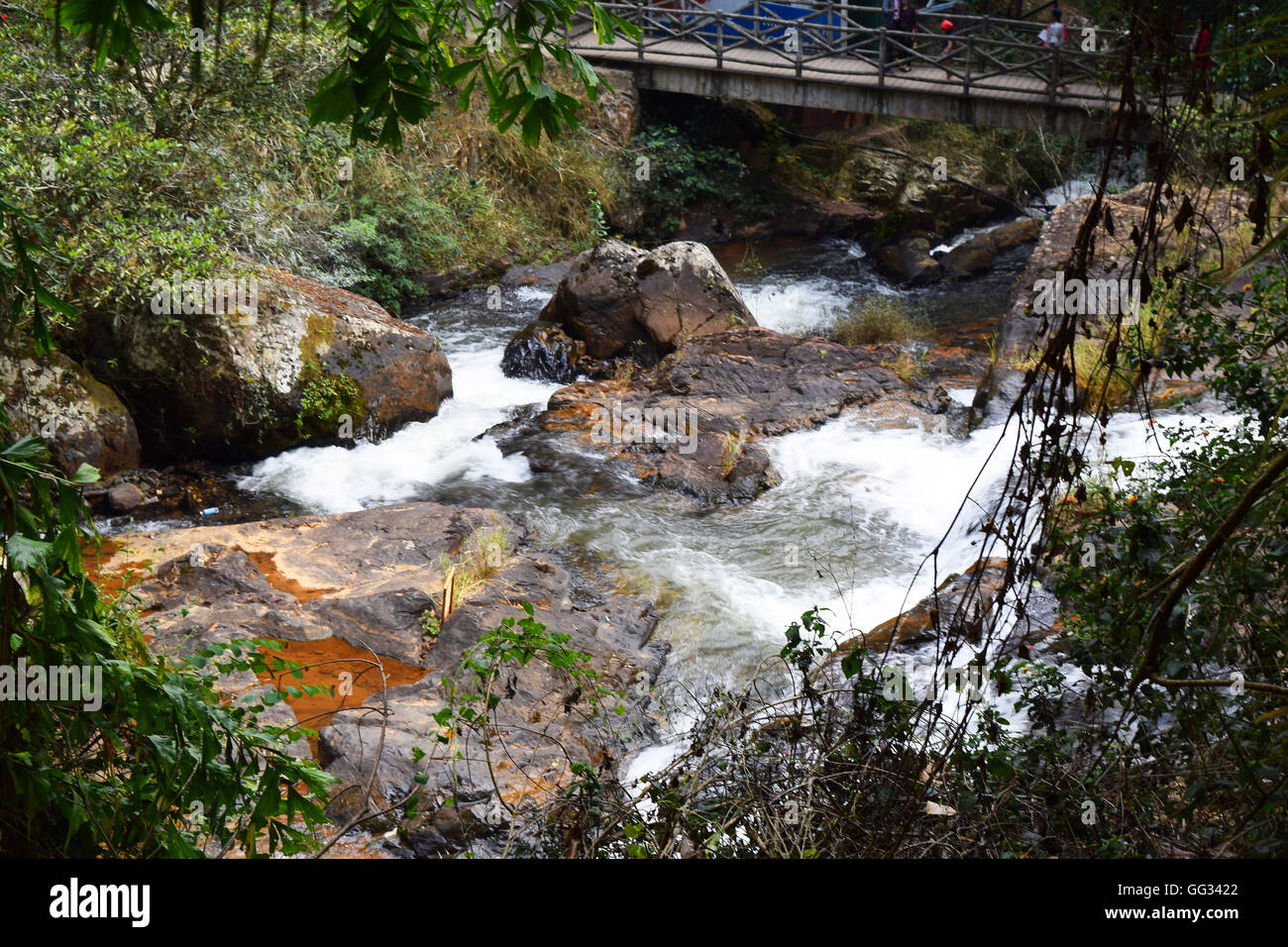 tropical datanla waterfall in the forest in dalat, vietnam Stock Photo ...