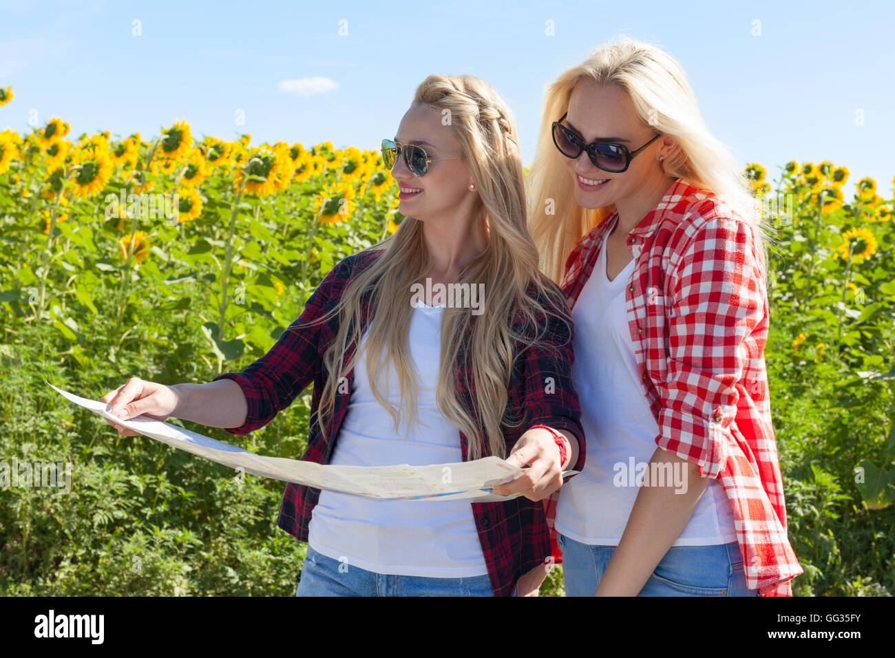Two girls looking road map standing sunflowers field outdoor Stock ...