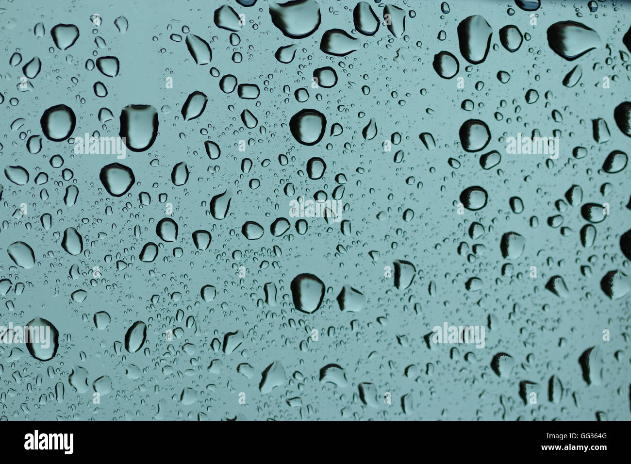 rain drops on a window glass. Shallow DOF Stock Photo - Alamy