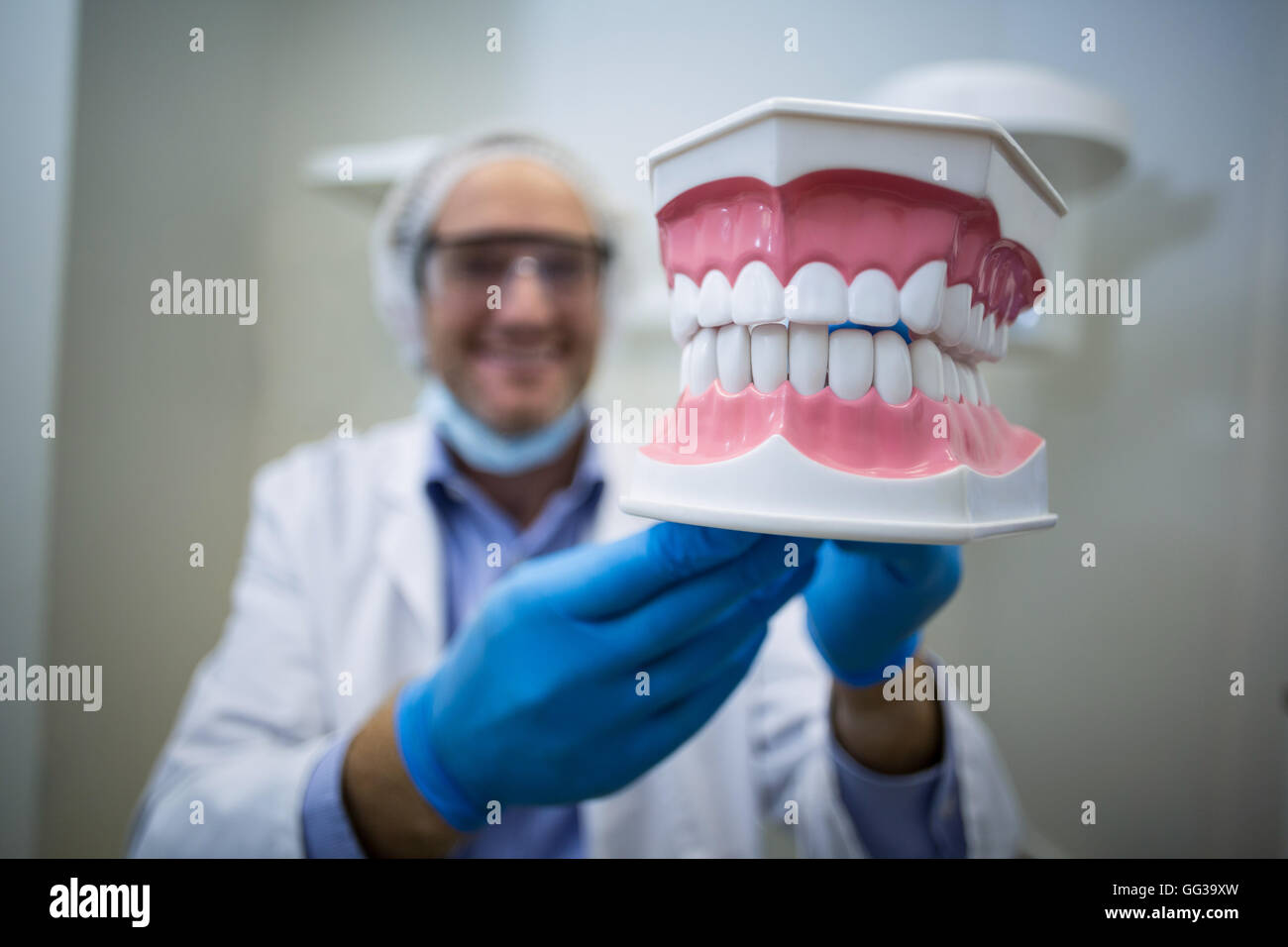Dentist holding a mouth model Stock Photo - Alamy
