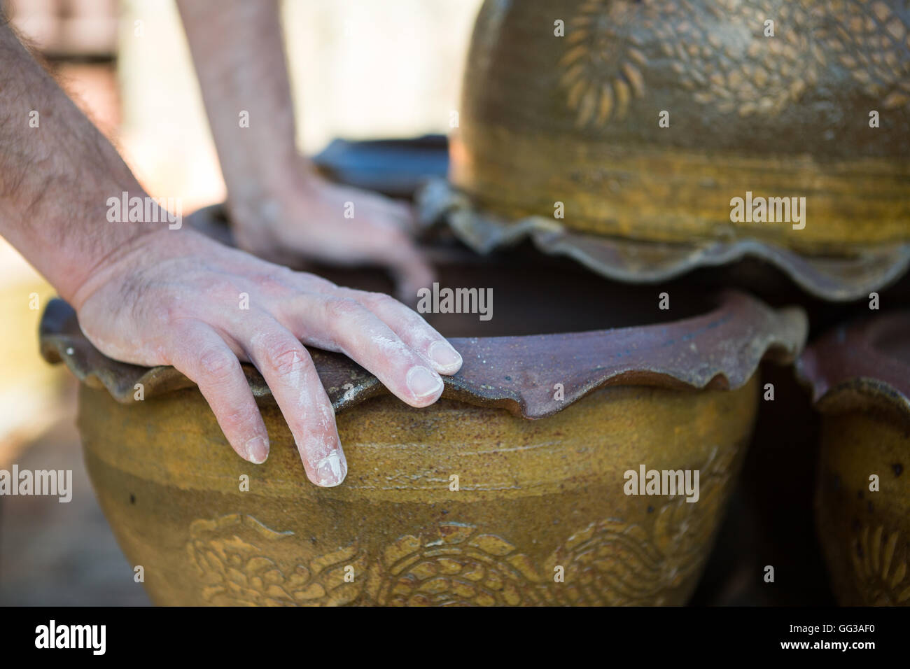 Potter plant hi-res stock photography and images - Alamy