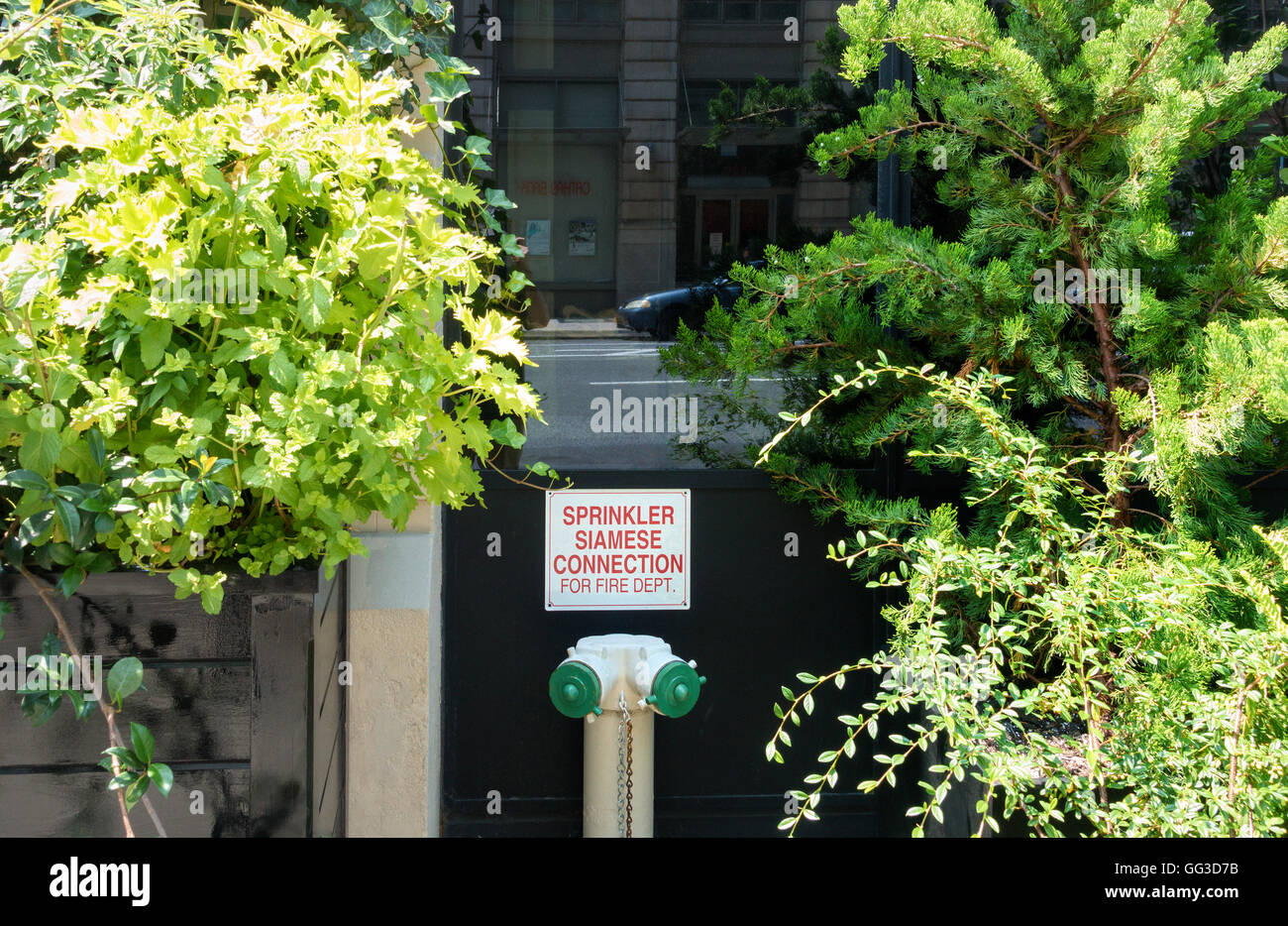 Sprinkler Siamese Connection for New York City Fire Department Stock ...