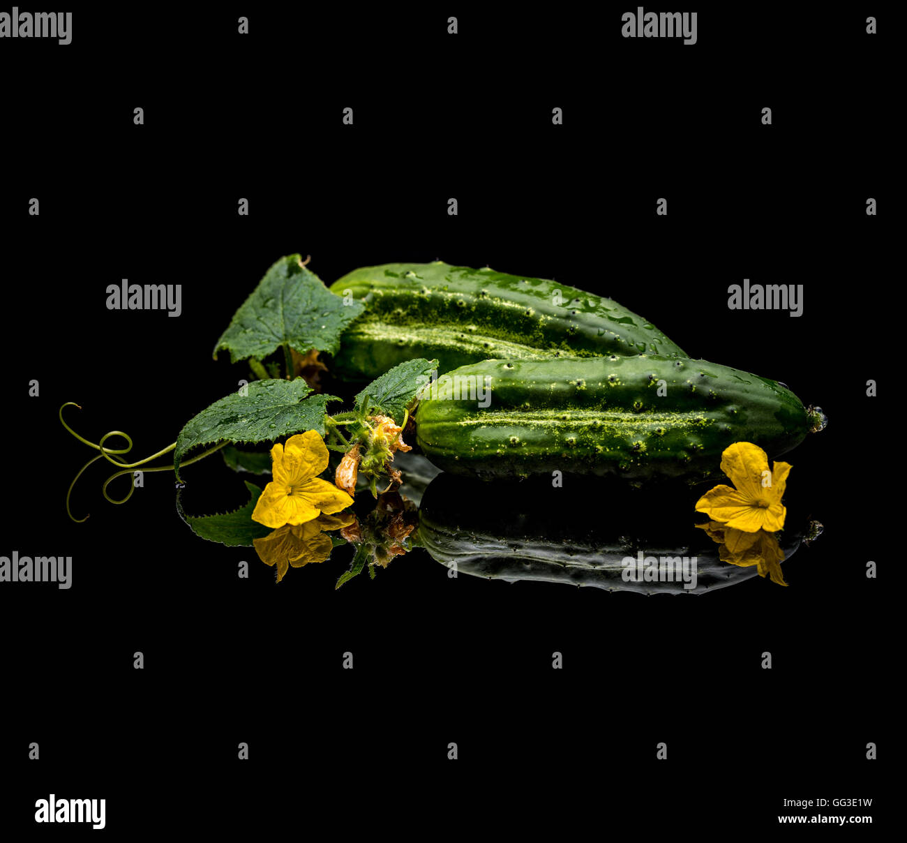 Fresh cucumber on black background Stock Photo - Alamy