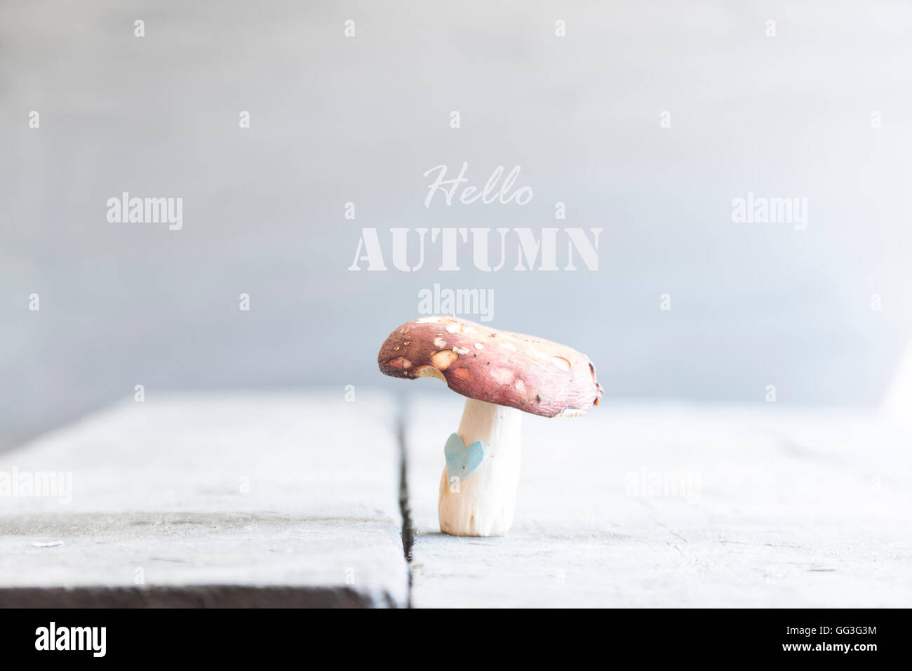 Hello autumn idea mushroom with heart and text Stock Photo - Alamy
