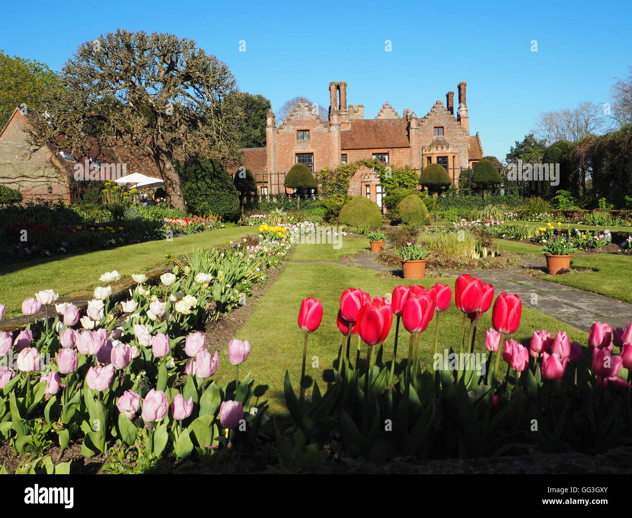 Landscape of Chenies Manor House and sunken garden at tulip time with ...