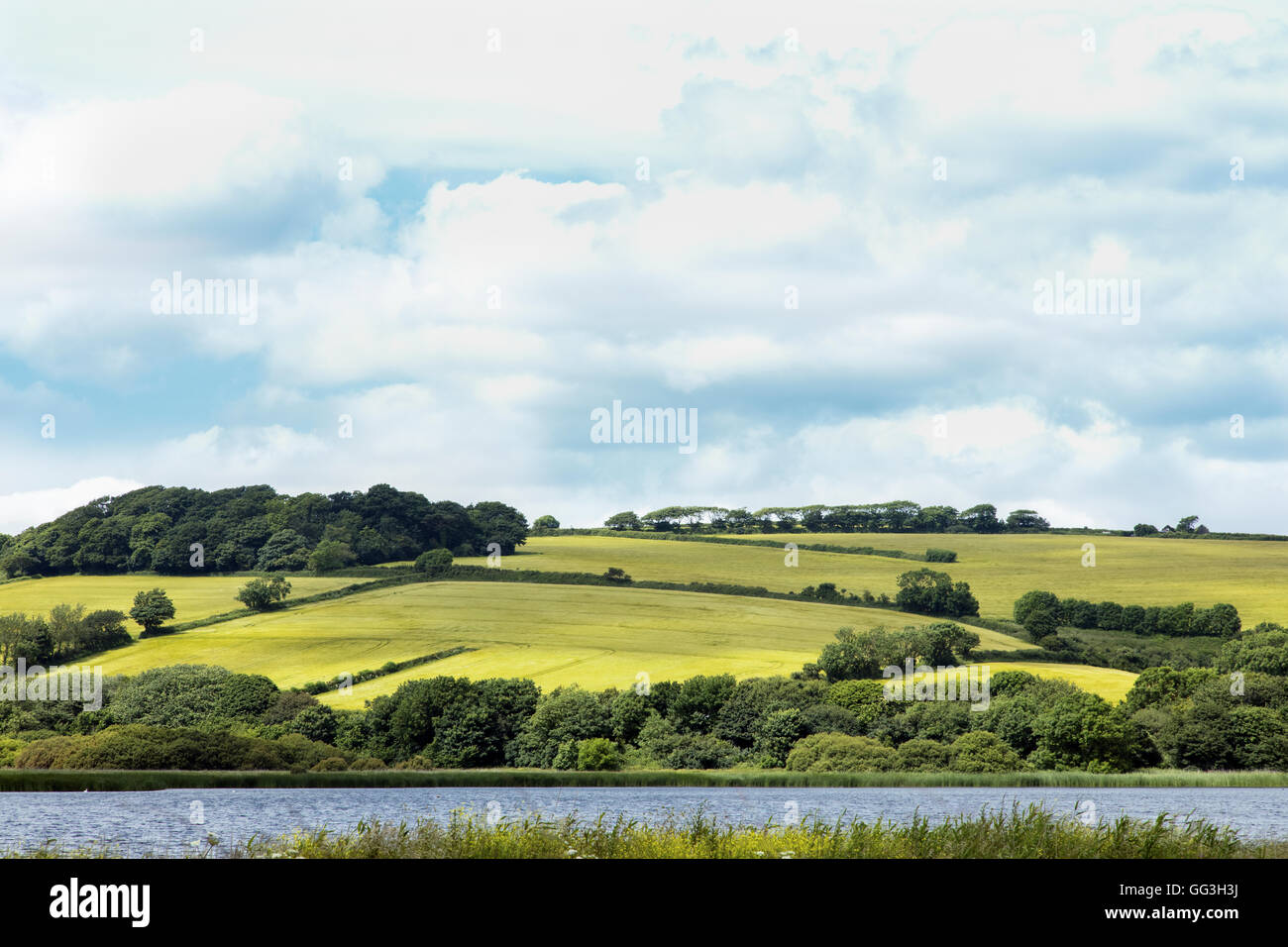 Farmland and lake south Devon England Stock Photo - Alamy