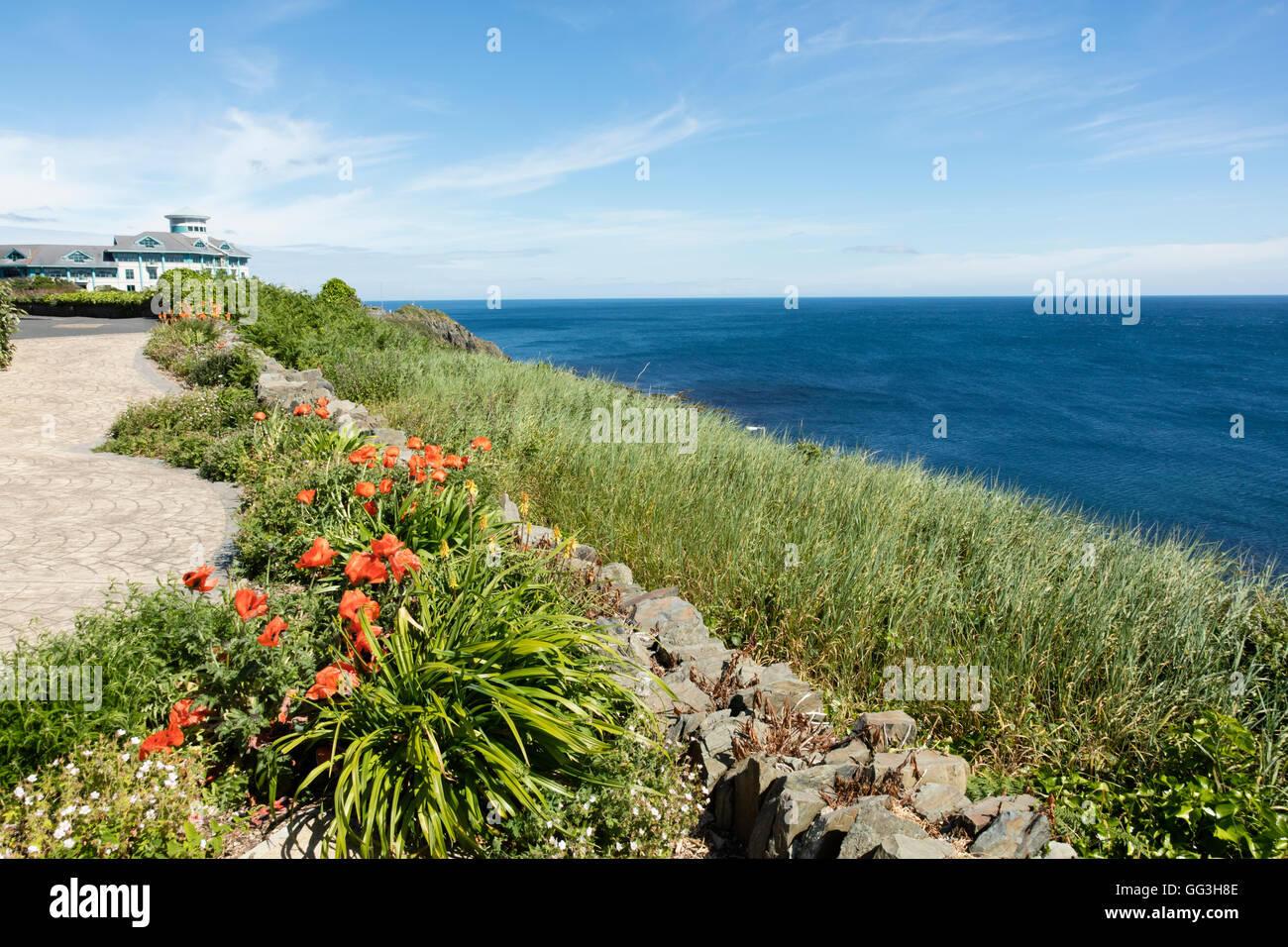 Flowers and view of Irish sea in Onchan Isle of Man Stock Photo - Alamy