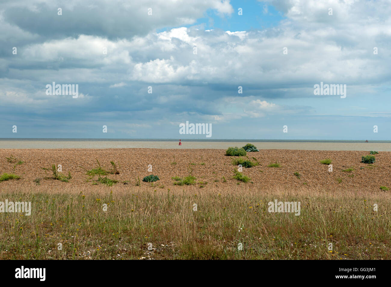 Coastal vegetated habitat hi-res stock photography and images - Alamy