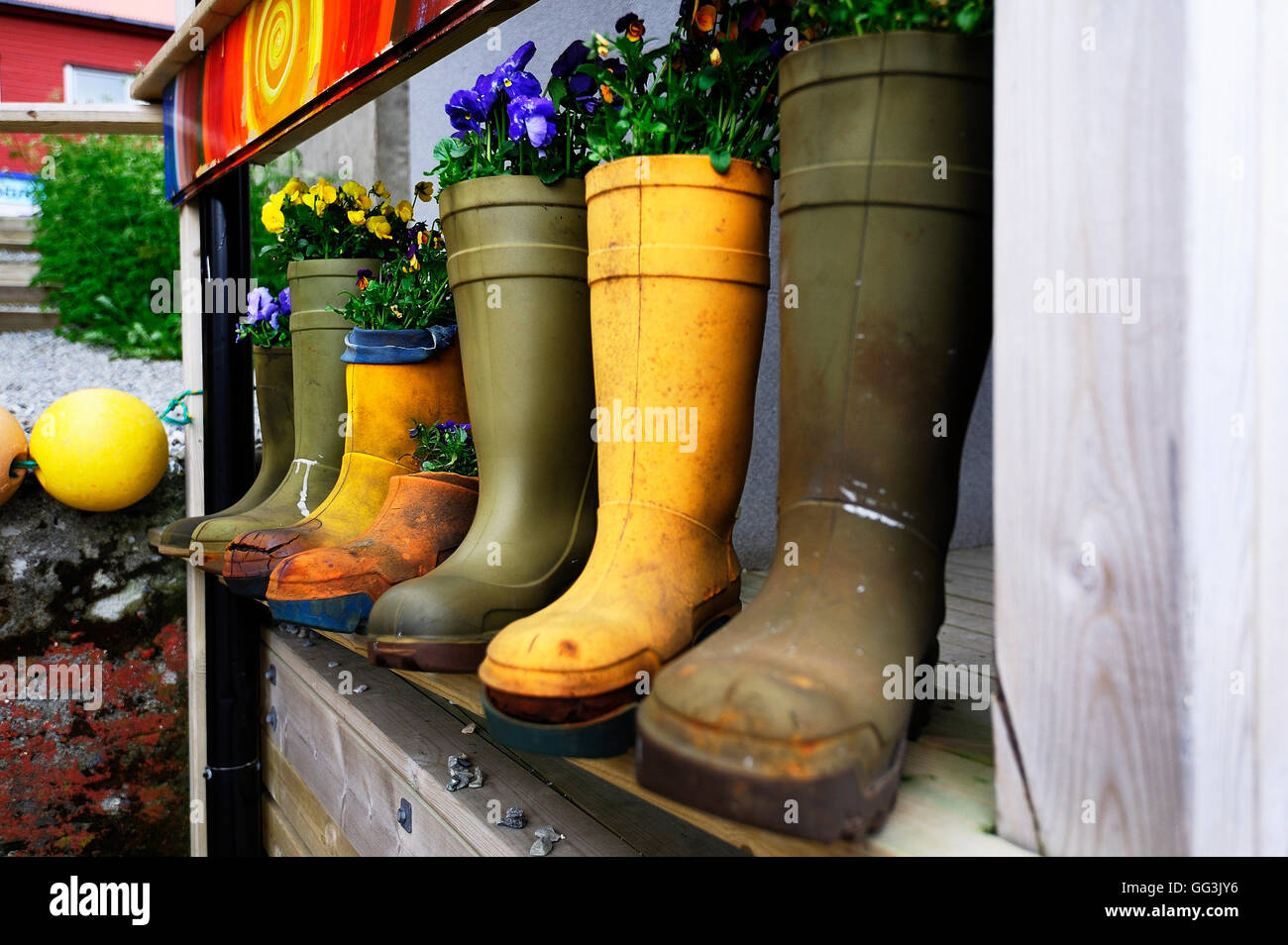 Wellington boots forming a garden Stock Photo - Alamy