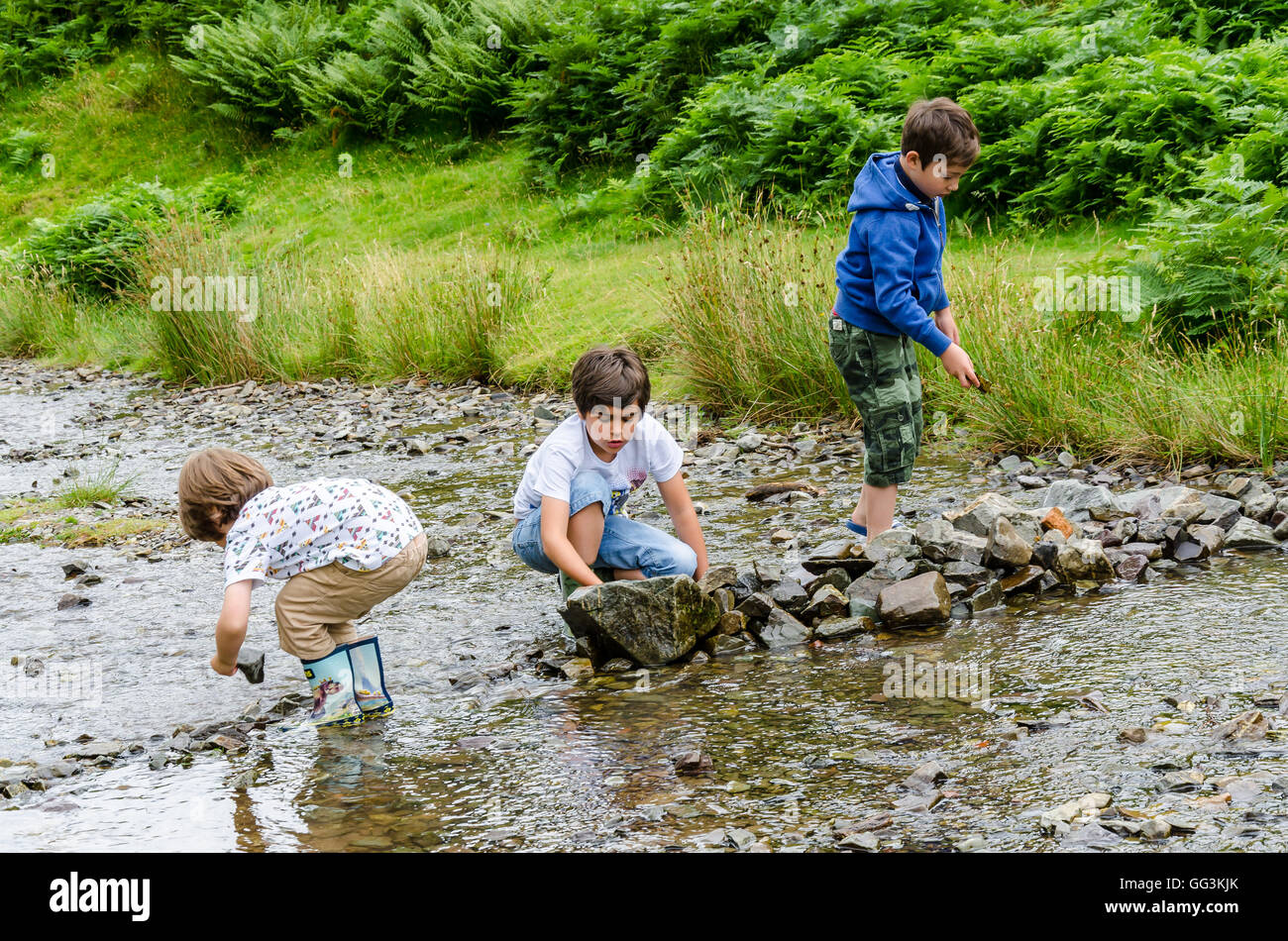 Three young boys play together to build a damn across a stream Stock ...