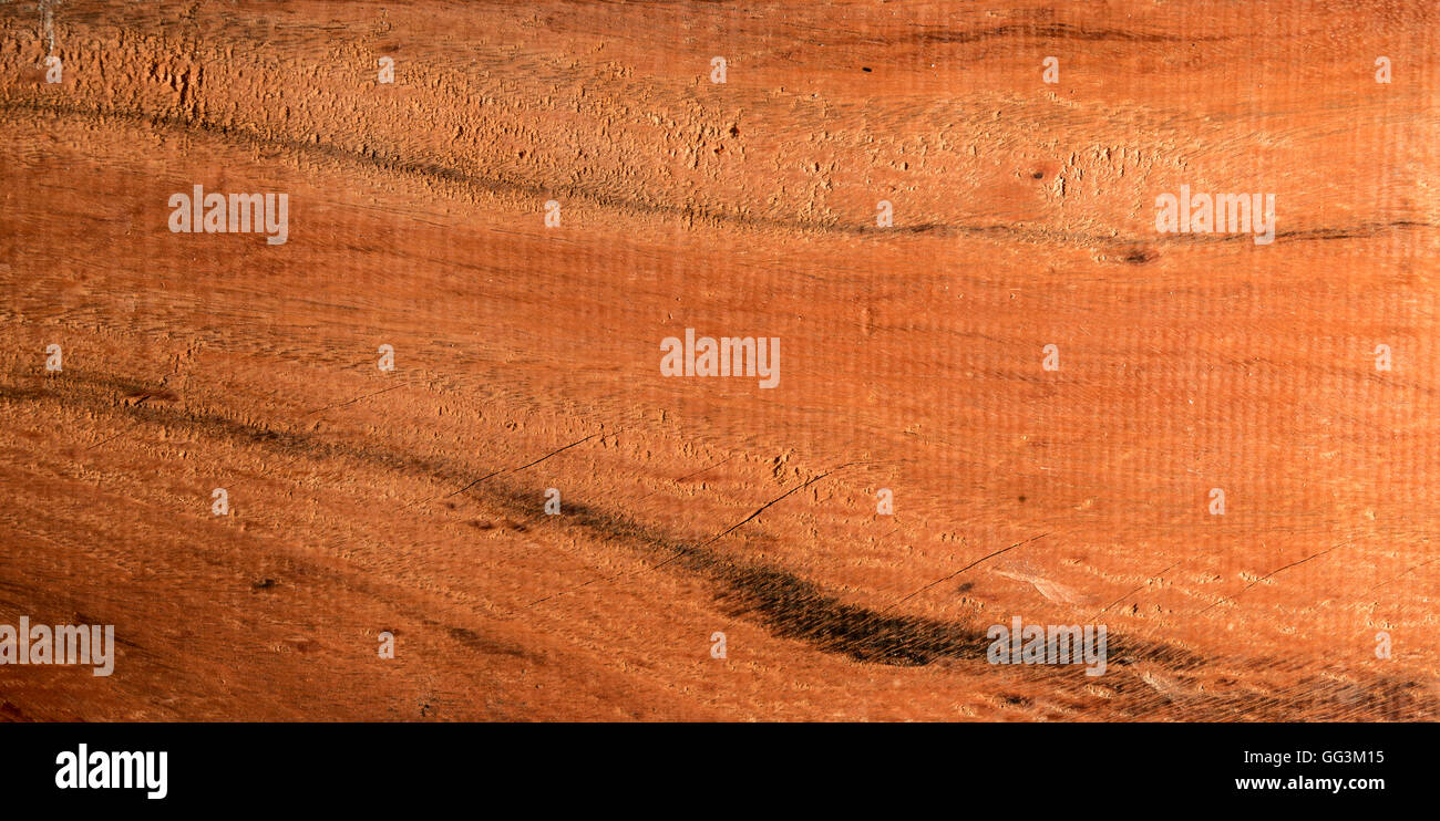 Quebracho, original hard wood in Latin America Stock Photo - Alamy