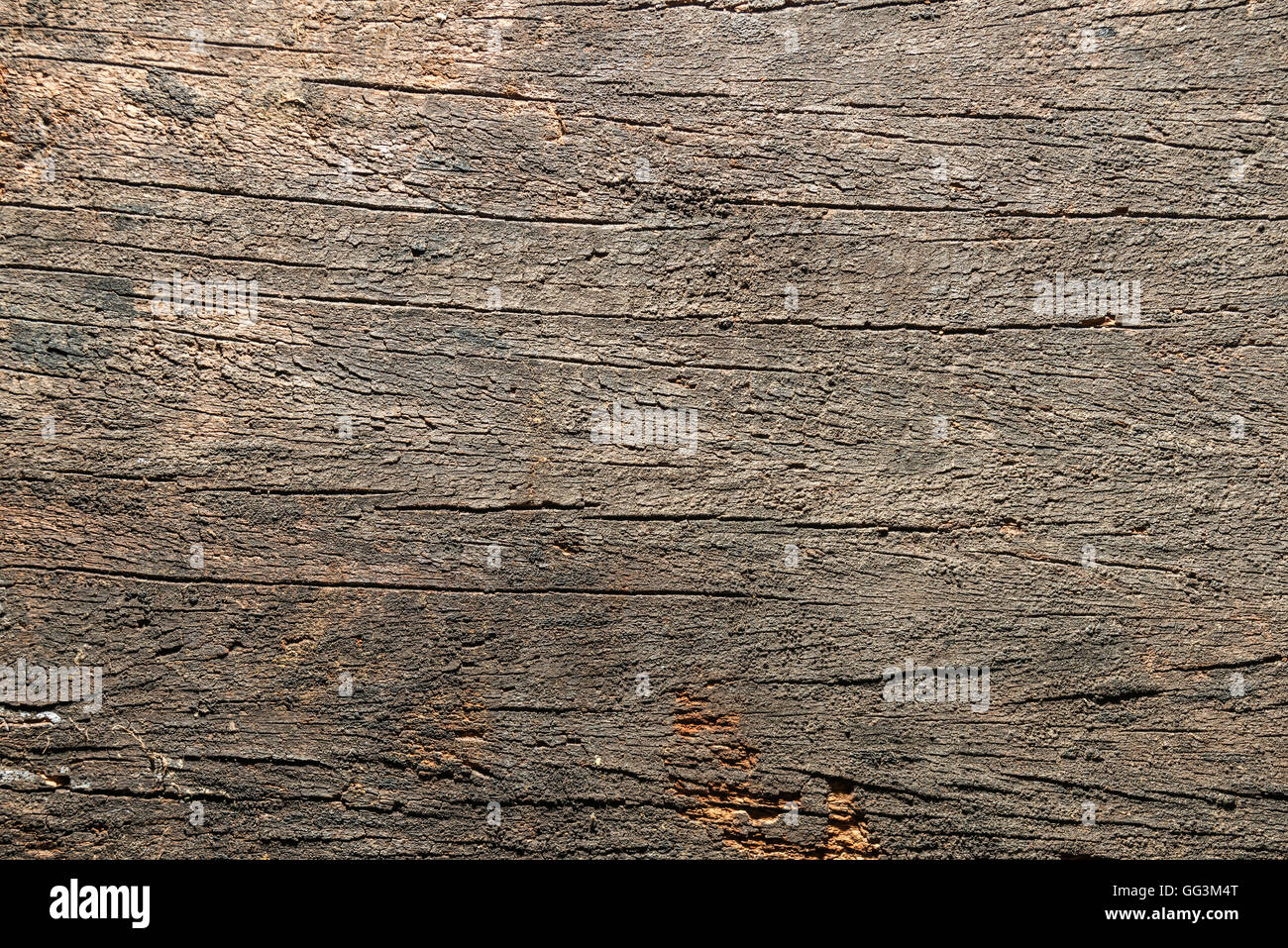 Quebracho, original hard and ancient wood in Latin America Stock Photo ...